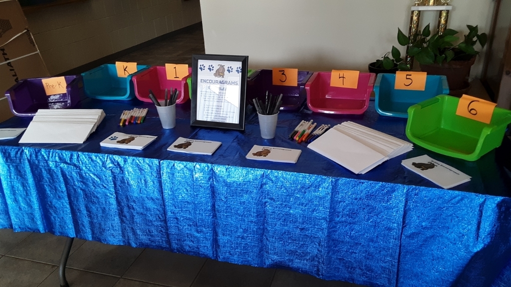 Live Feed | MSAD #49